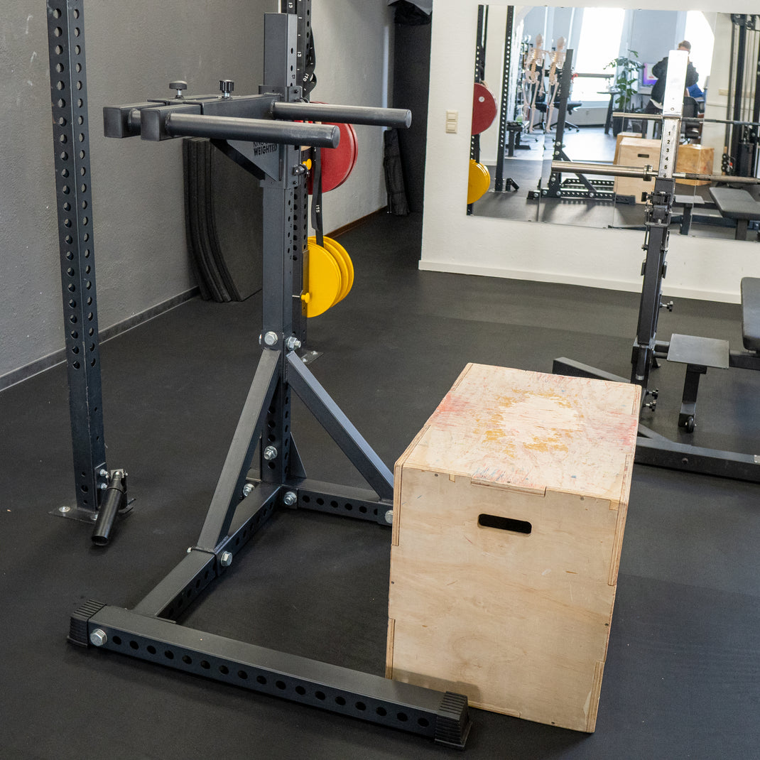 King of Weighted Shop – King Of Weighted Shop